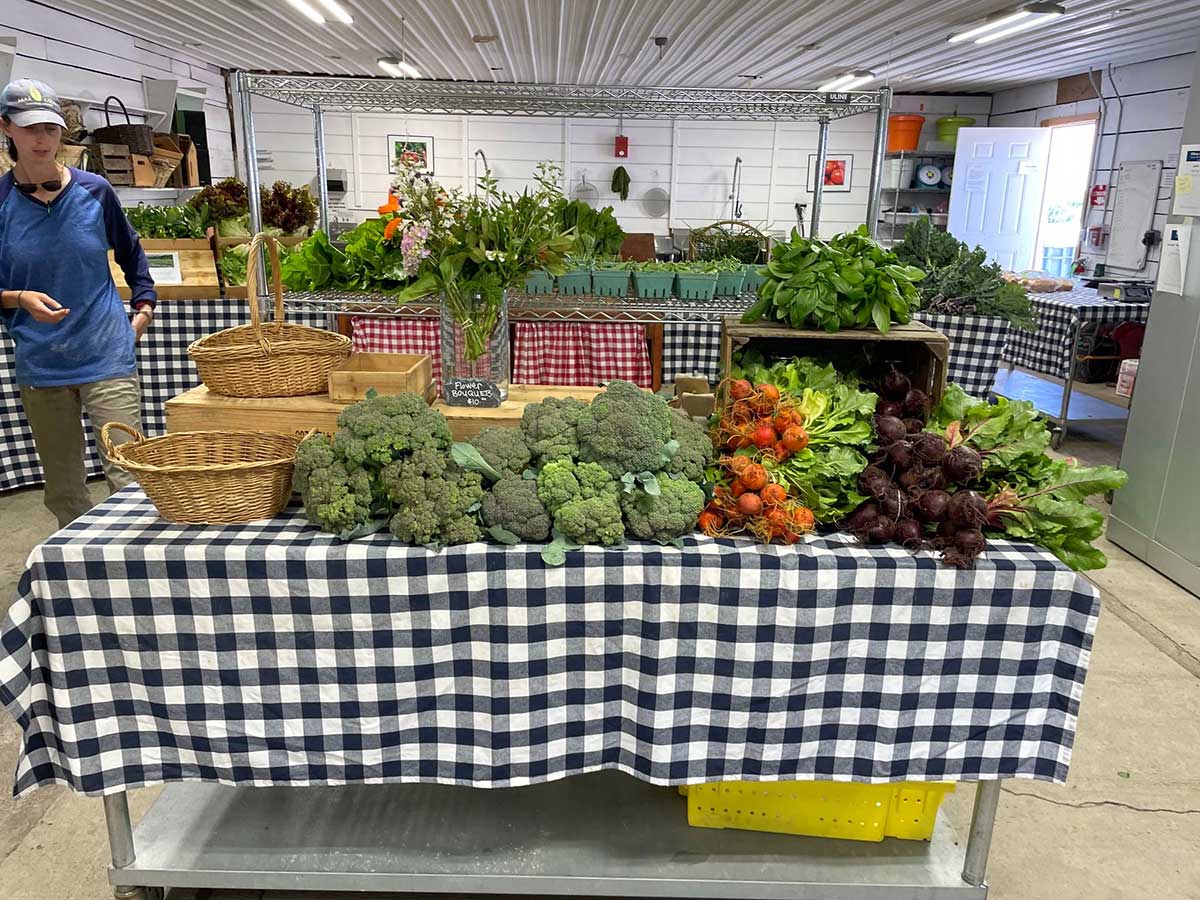 Comienza la Serie Granja Comunitaria en Hilltop Hannover Farm 2023